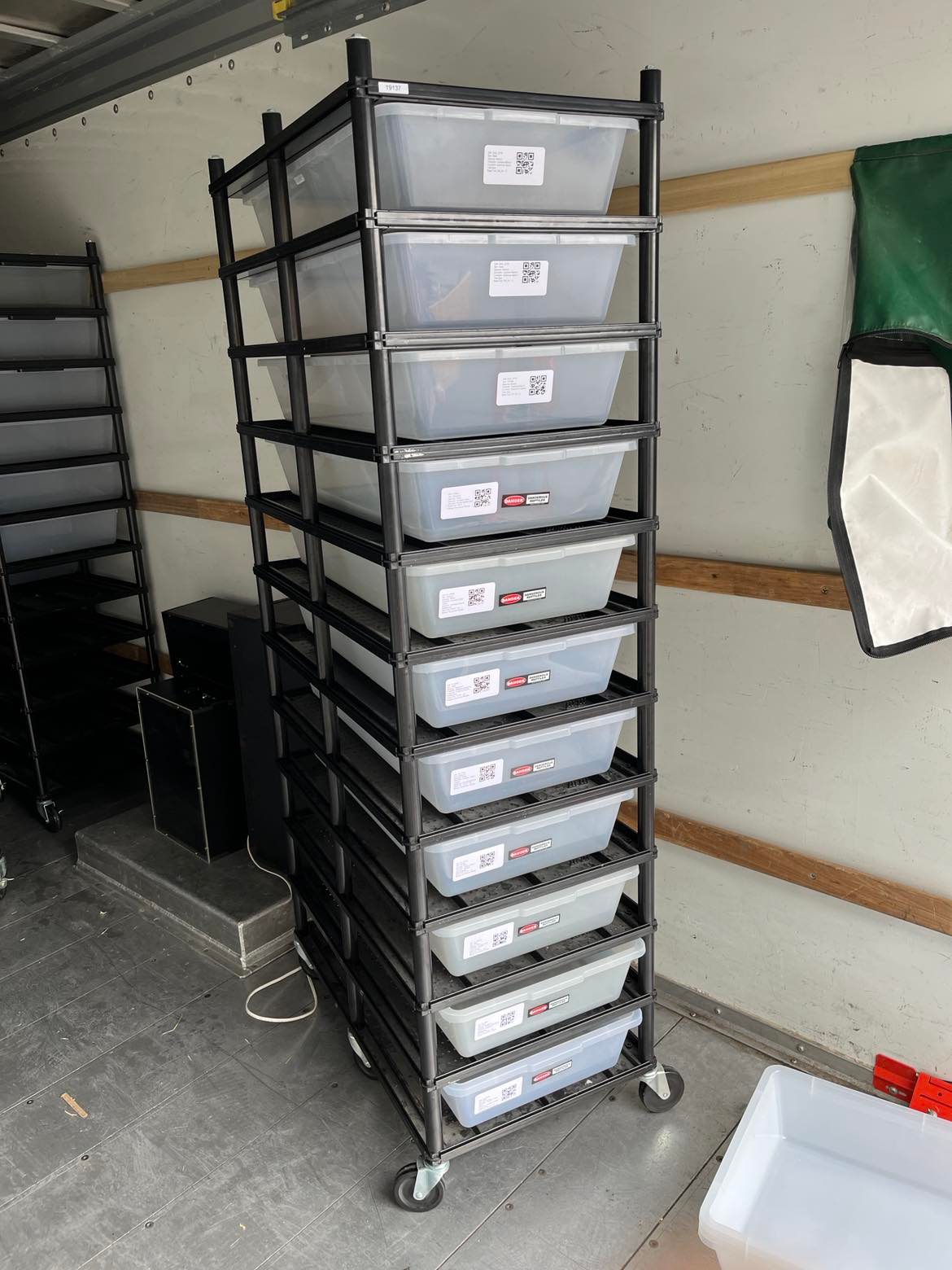 vision v70 | Outback Reptiles